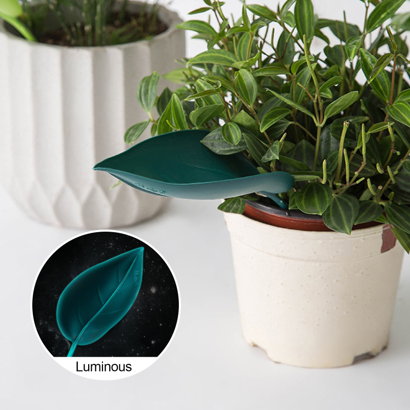creative potted plant leaf type diversion watering funnel - Temu Canada
