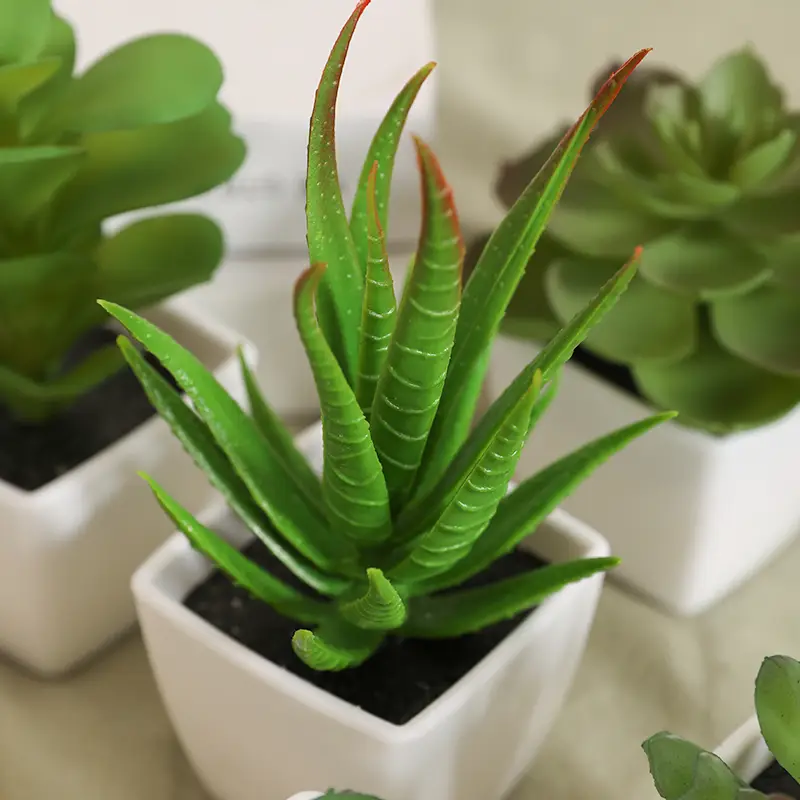 6 ポット シミュレーション 多肉植物 ミニ鉢植え フェイクグリーン 多肉植物 鉢植え 多肉植物 オーナメント Home