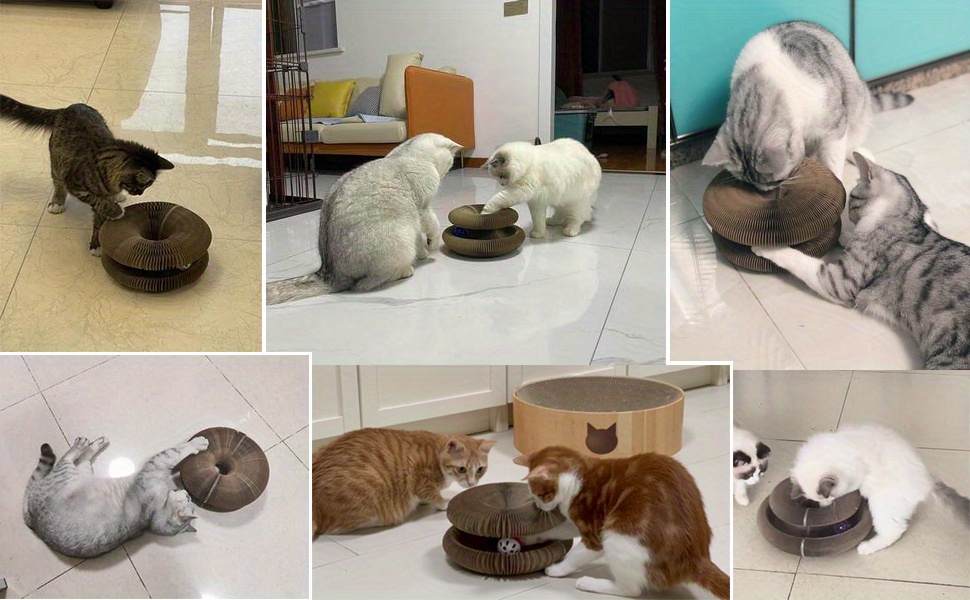 マジック 猫ス ボード猫 おもちゃ ボールおもちゃ付きインタ ブ折りたたみ猫ス ャー Temu Japan
