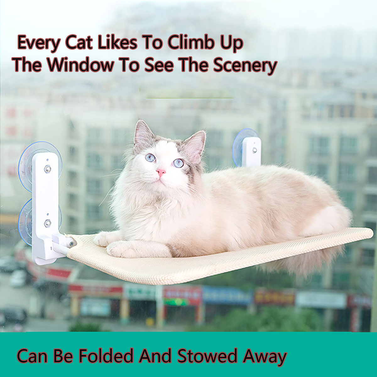 Cordless Cat Window Perch House Cat Hammock Sturdy Hanging - Temu Australia