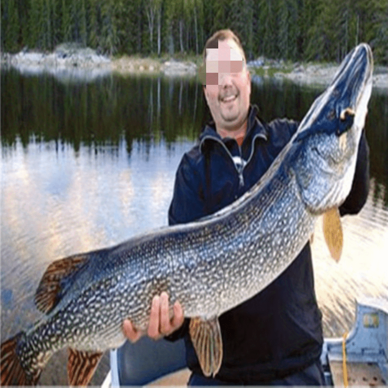 トラウト釣り用 スピナー スプーン ルアー 1 個 スパンコール スパンコール付きハードベイト さまざまな重 - Temu Japan