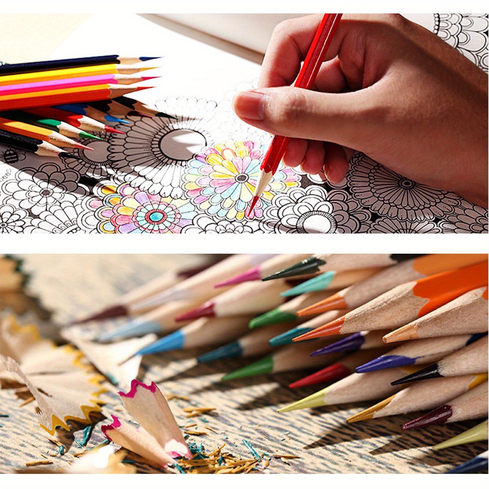 colored pencils without adult coloring books artist - Temu Australia