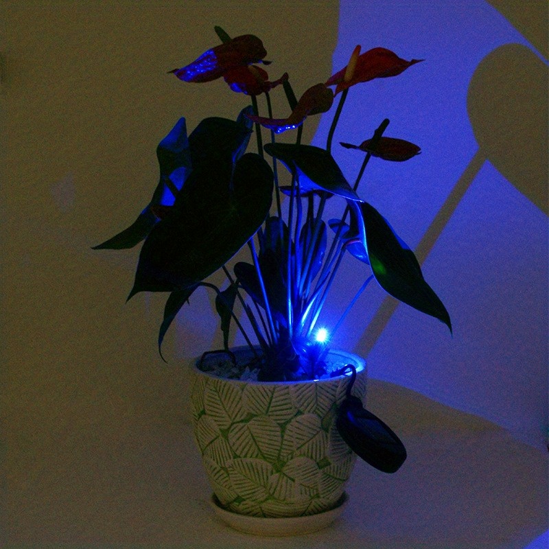 Solar Lights Outdoor Waterproof Rgb Light - Temu New Zealand