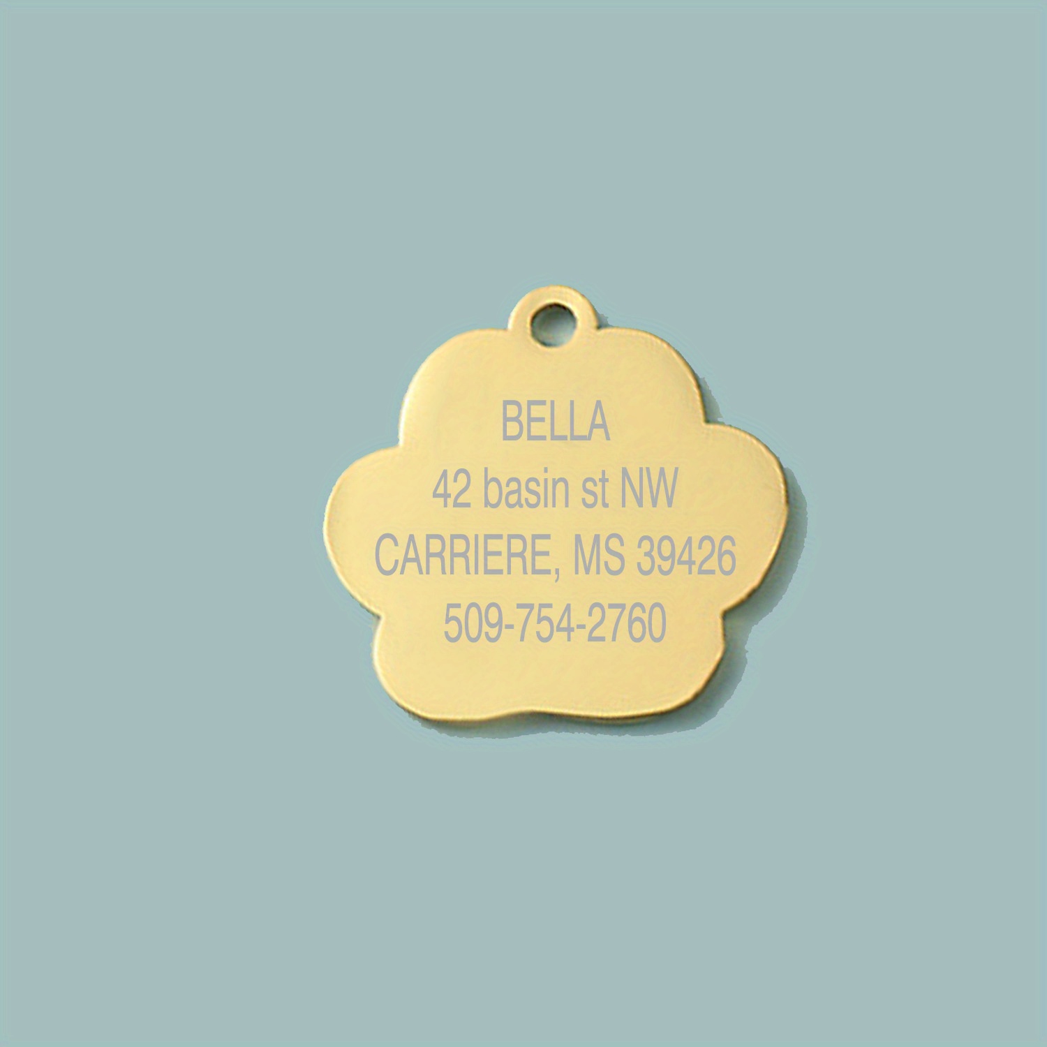 Personalized Pet Id Tags Engraved Dog Name Tag Slide Cat Id - Temu Canada