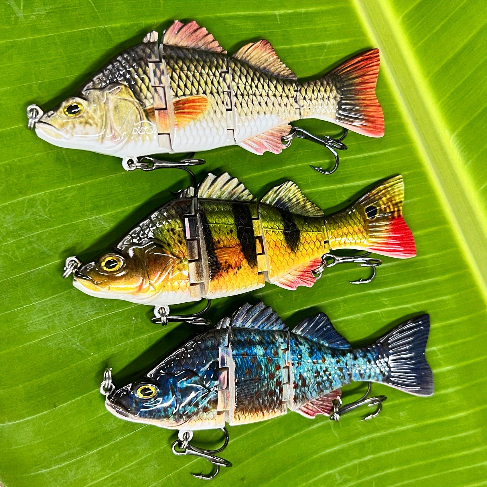 3d Simulation - Temu Ireland