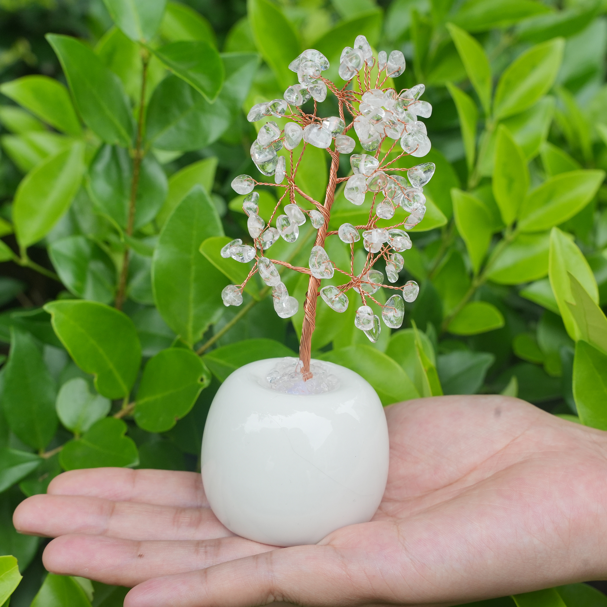 1pc Tree Natural Cute And Minimalist Tabletop Decorations Office Desk ...