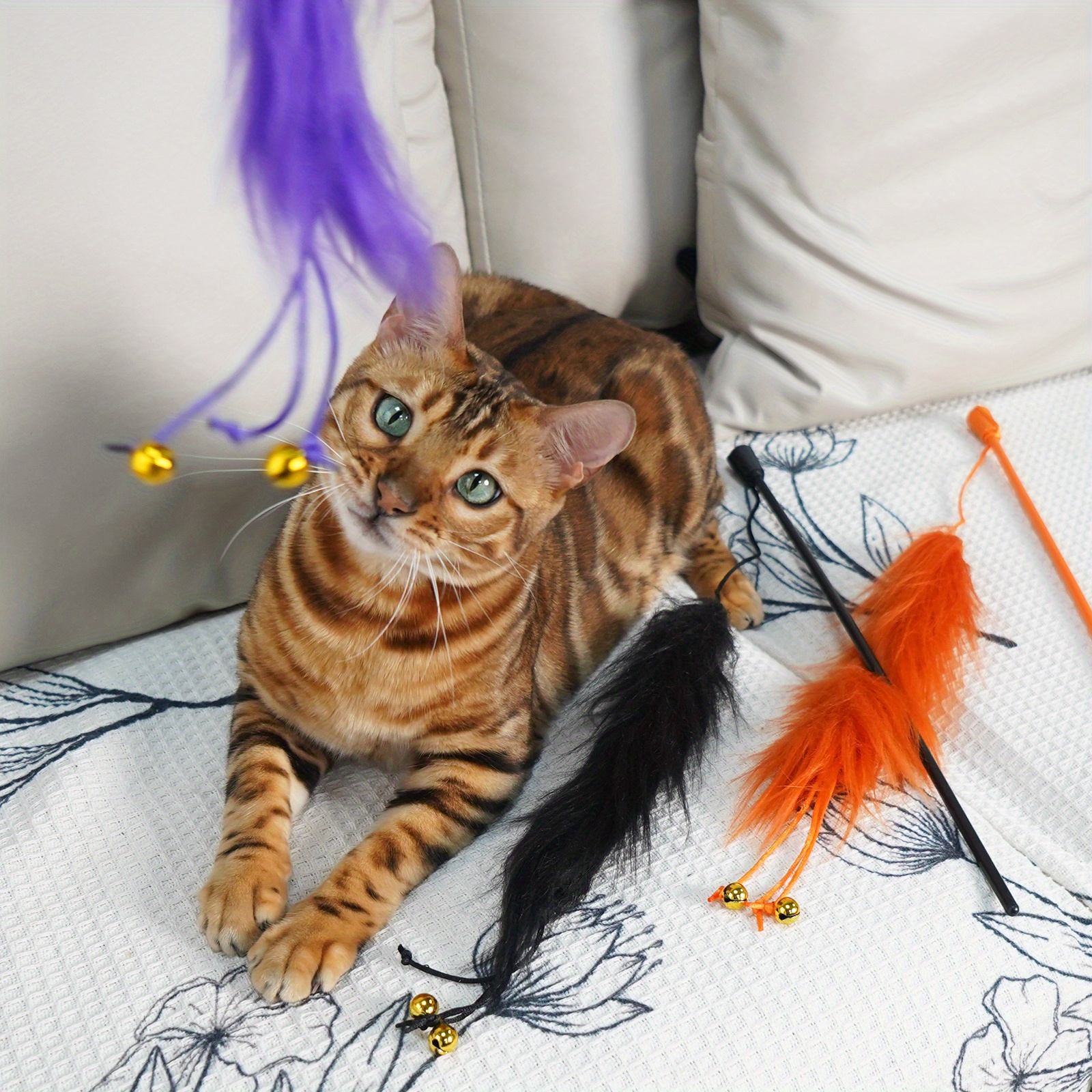 Halloween Cat Toys Halloween Cat Teasing Stick Halloween Cat - Temu ...