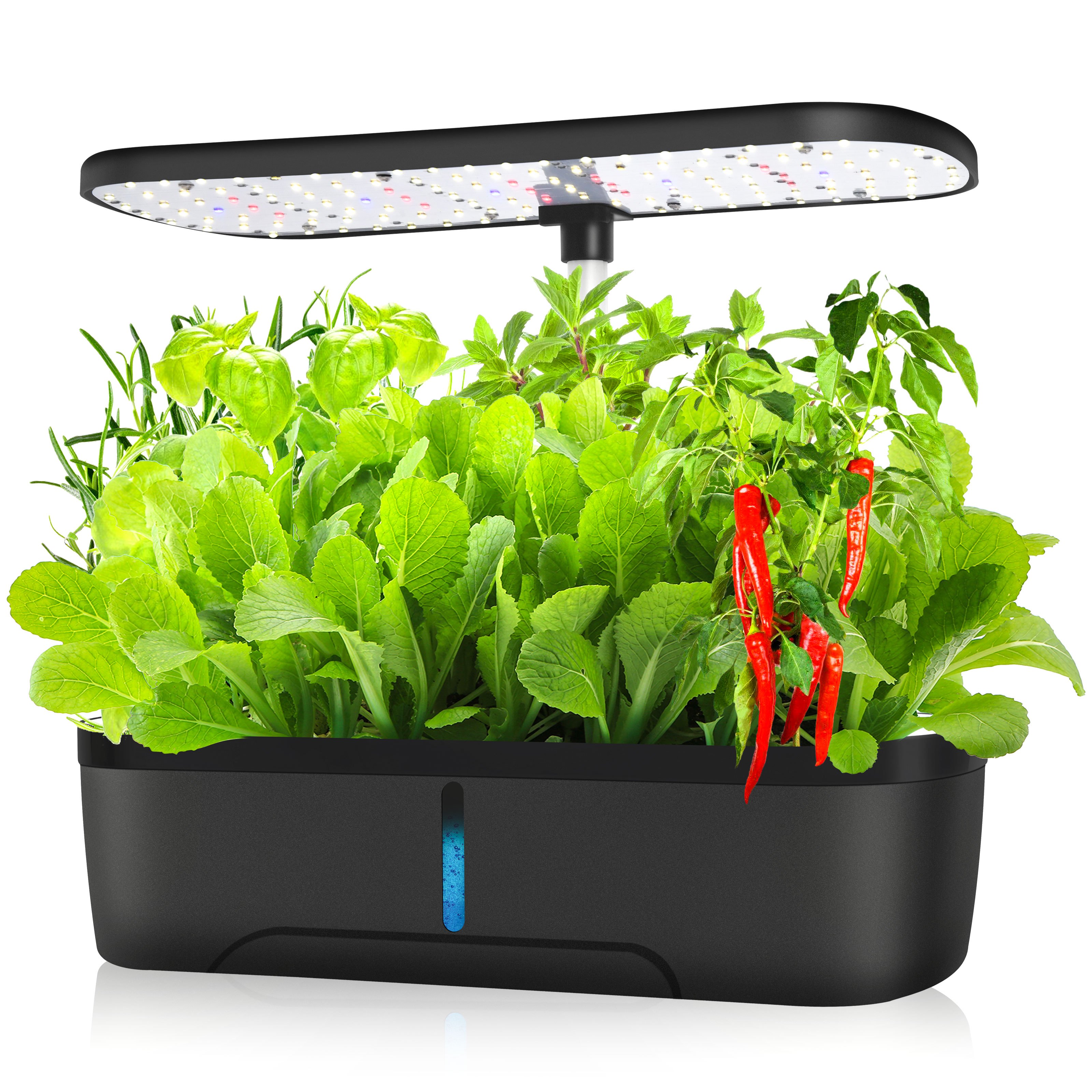 Indoor Vegetable Garden Kit