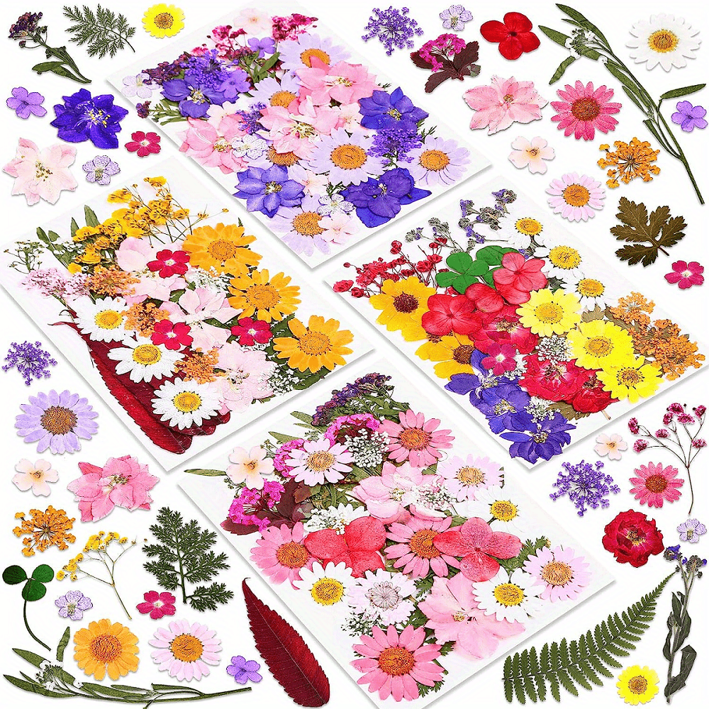 Kit Fleurs Séchées Pressées Résine Feuilles Séchées Réelles - Temu ...