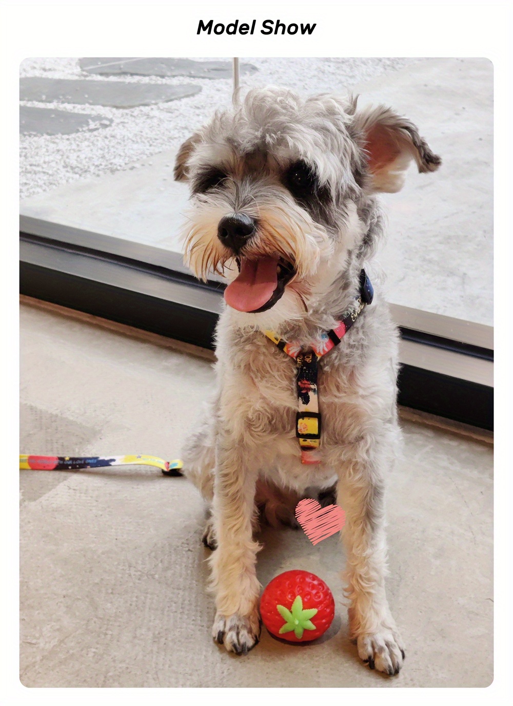 Cartoon Print H style Dog Harness Adjustable Soft padded Dog - Temu ...