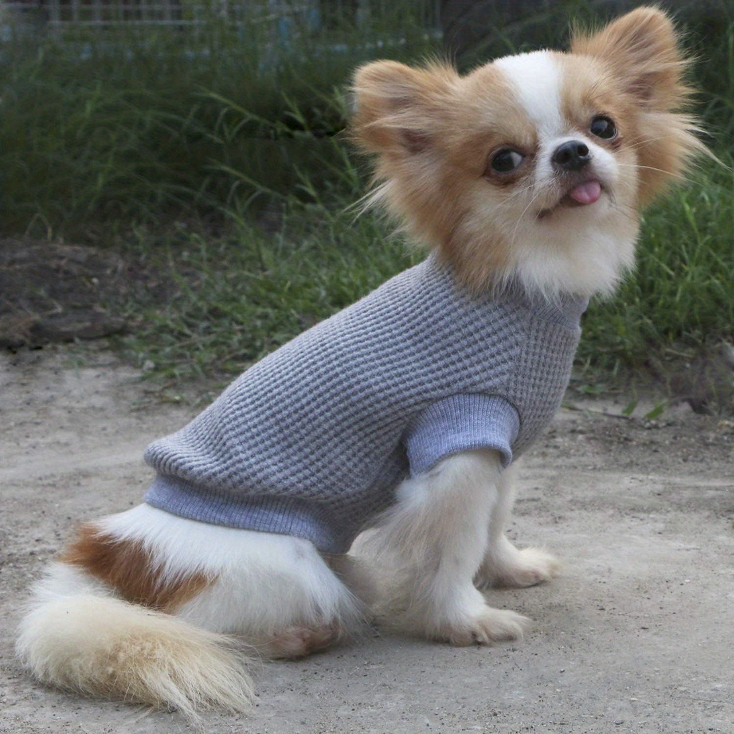 Breathable Printing Vest Soft Comfy T Shirt Costumes Puppy Shirt ...