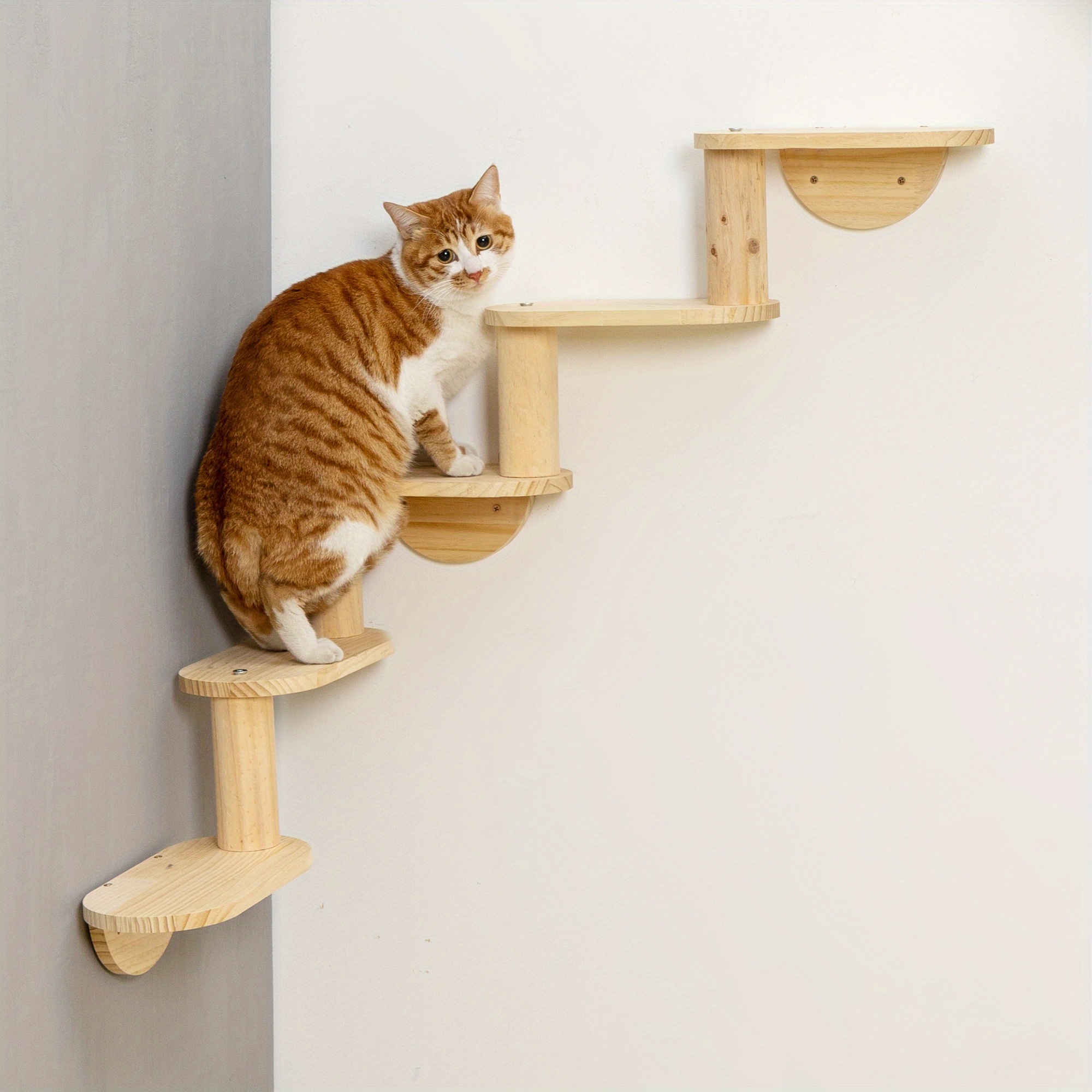 Cat Ladder Wall Mounted Shelves Indoor - Temu