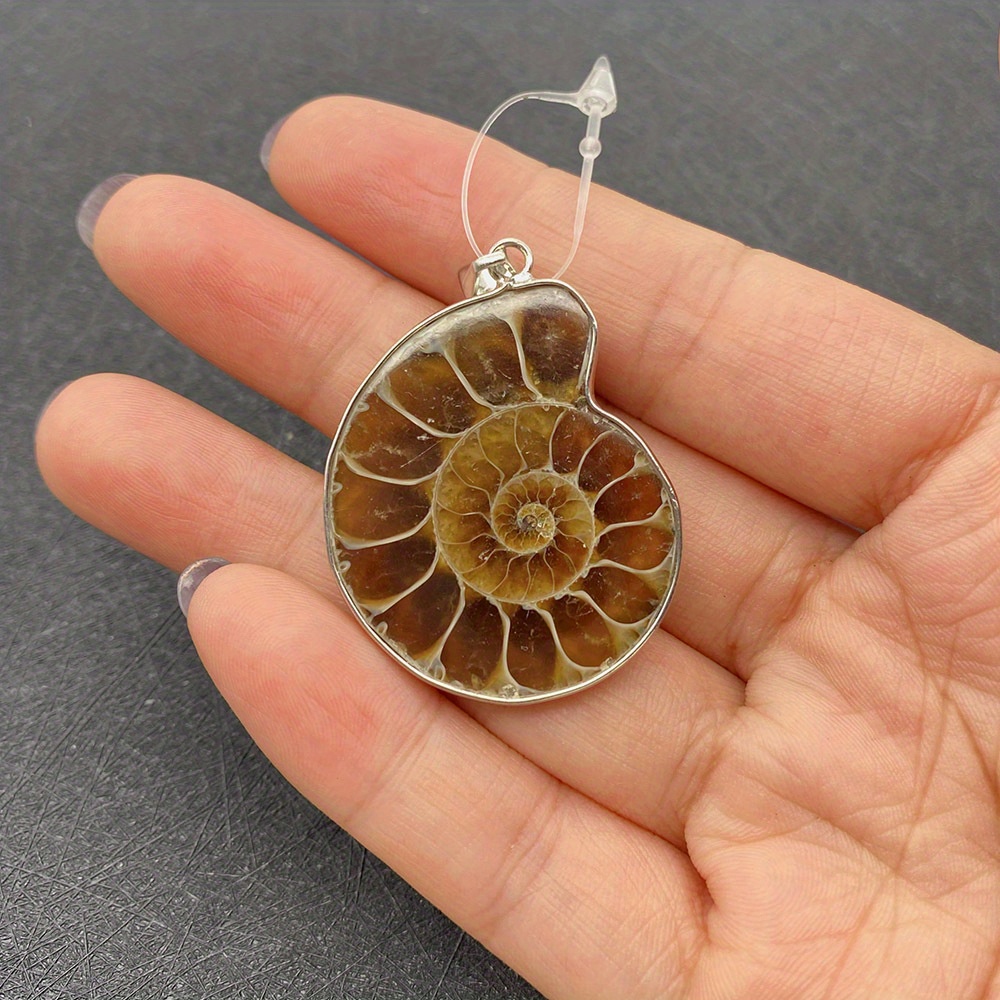 Natural Parrot Conch Pendant Super - Temu United