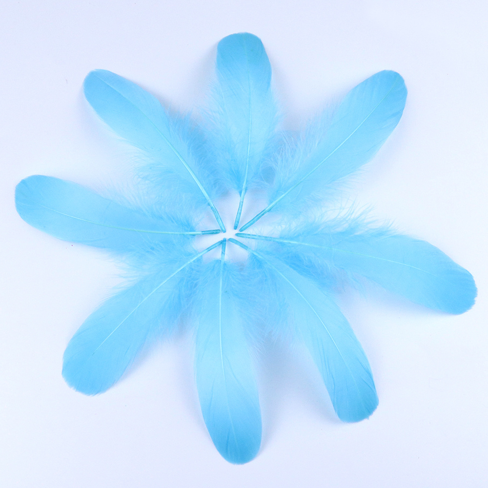 Goose Feather Natural Colourful Middle Floating Geese - Temu United Kingdom