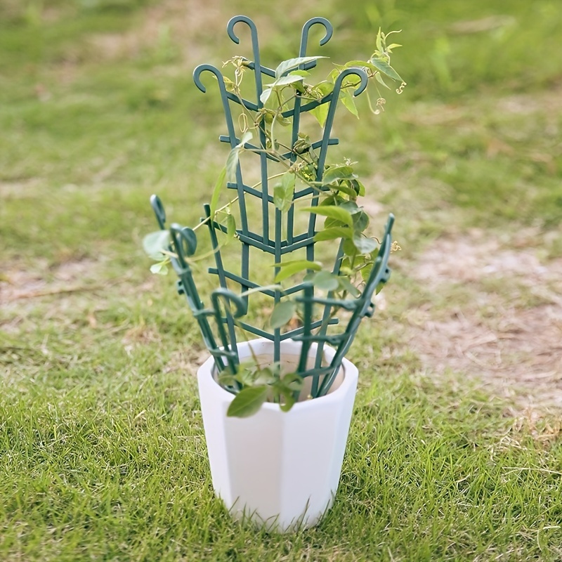 Trellis Potted Plants Garden Trellis Climbing Plants Diy - Temu Canada