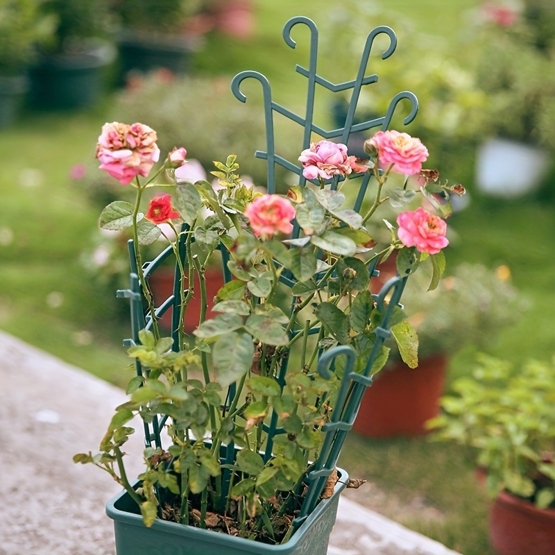 Trellis Potted Plants Garden Trellis Climbing Plants Diy - Temu Canada