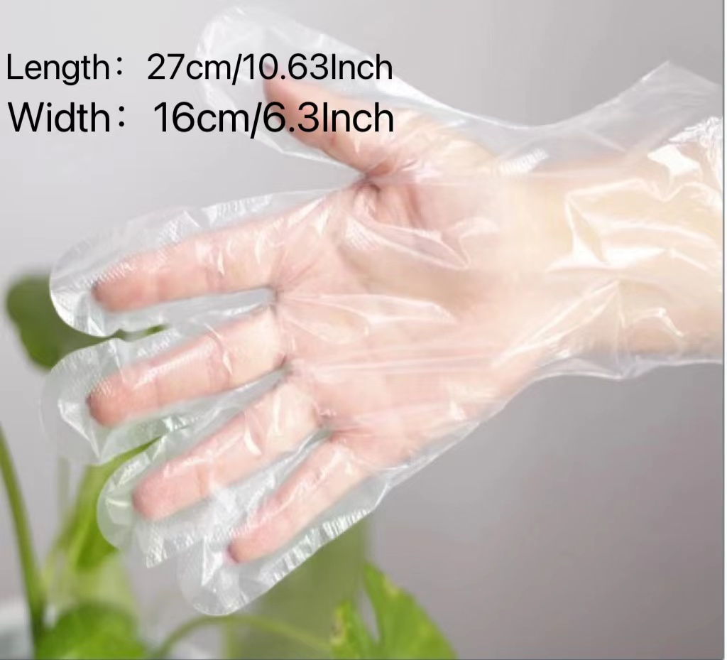 Thickened Disposable Plastic Transparent Gloves Catering - Temu United