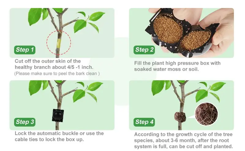 Reusable Plant Rooting Device: Grow Box Rose Trees Fruit - Temu Reusable Plant Rooting Device: Grow Box Rose Trees Fruit - Temu