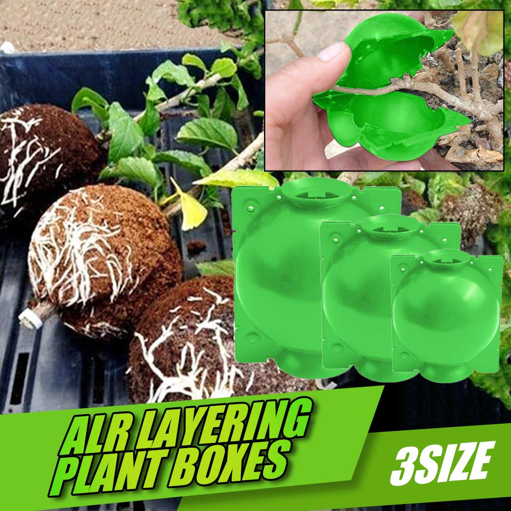 Reusable Plant Rooting Device: Grow Box Rose Trees Fruit - Temu