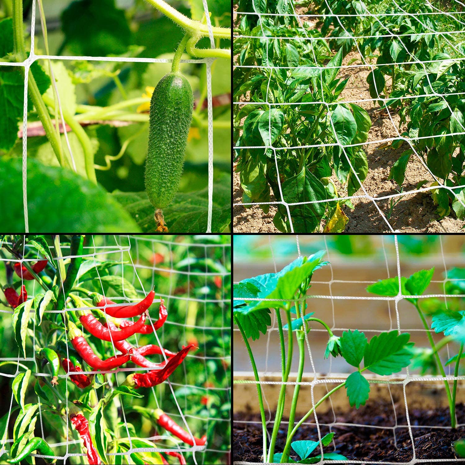 Trellis Netting Garden Netting Climbing Plants Vegetables - Temu