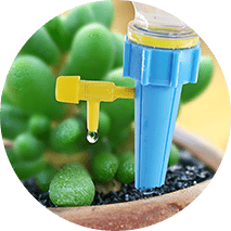 Patio, Lawn & Garden - Free Shipping for New Users - Temu