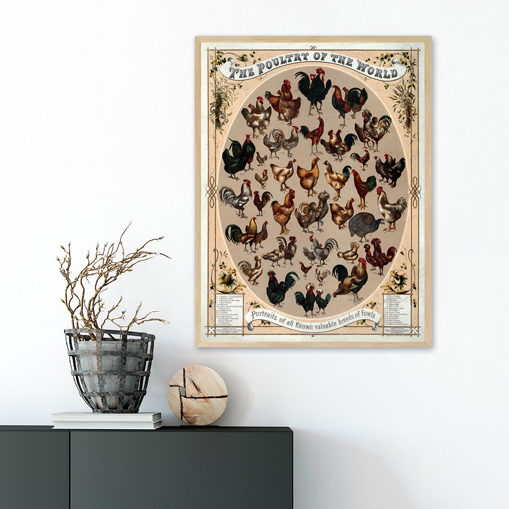 Home Animal Chicken Chart Decoration Canvas - Temu Australia