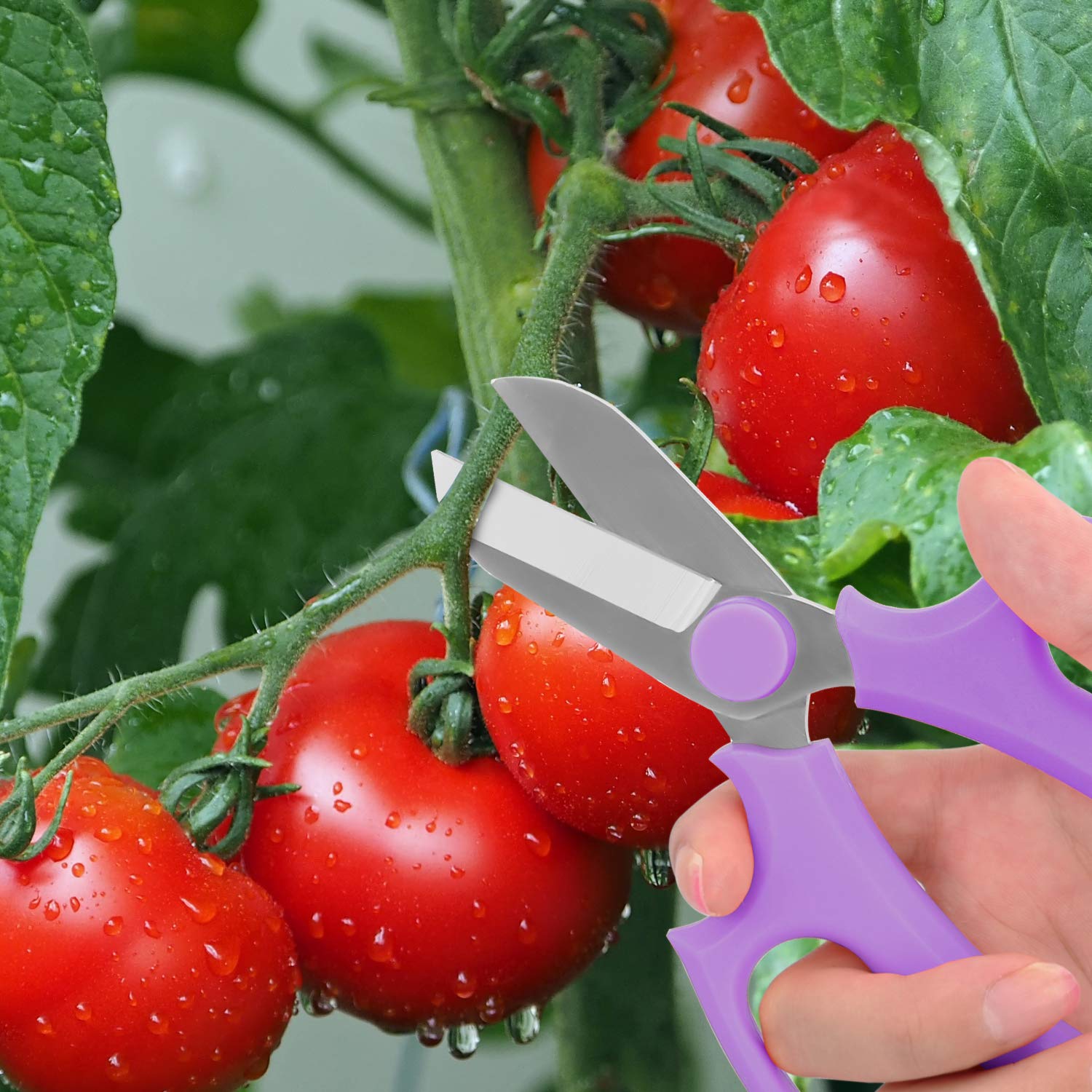 Floral Shears Garden Pruning Shears Floral - Temu New Zealand