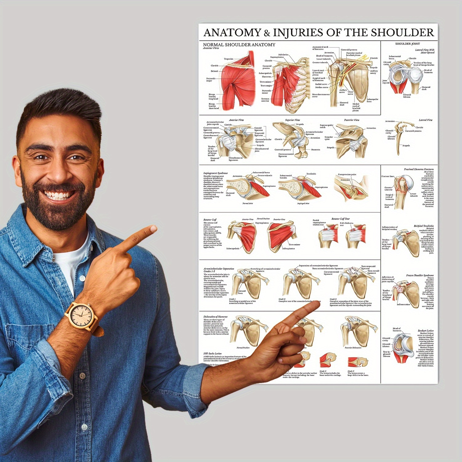 Skin Layer-spine-shoulder Anatomy And Shoulder Injury Poster Set Of 3 ...