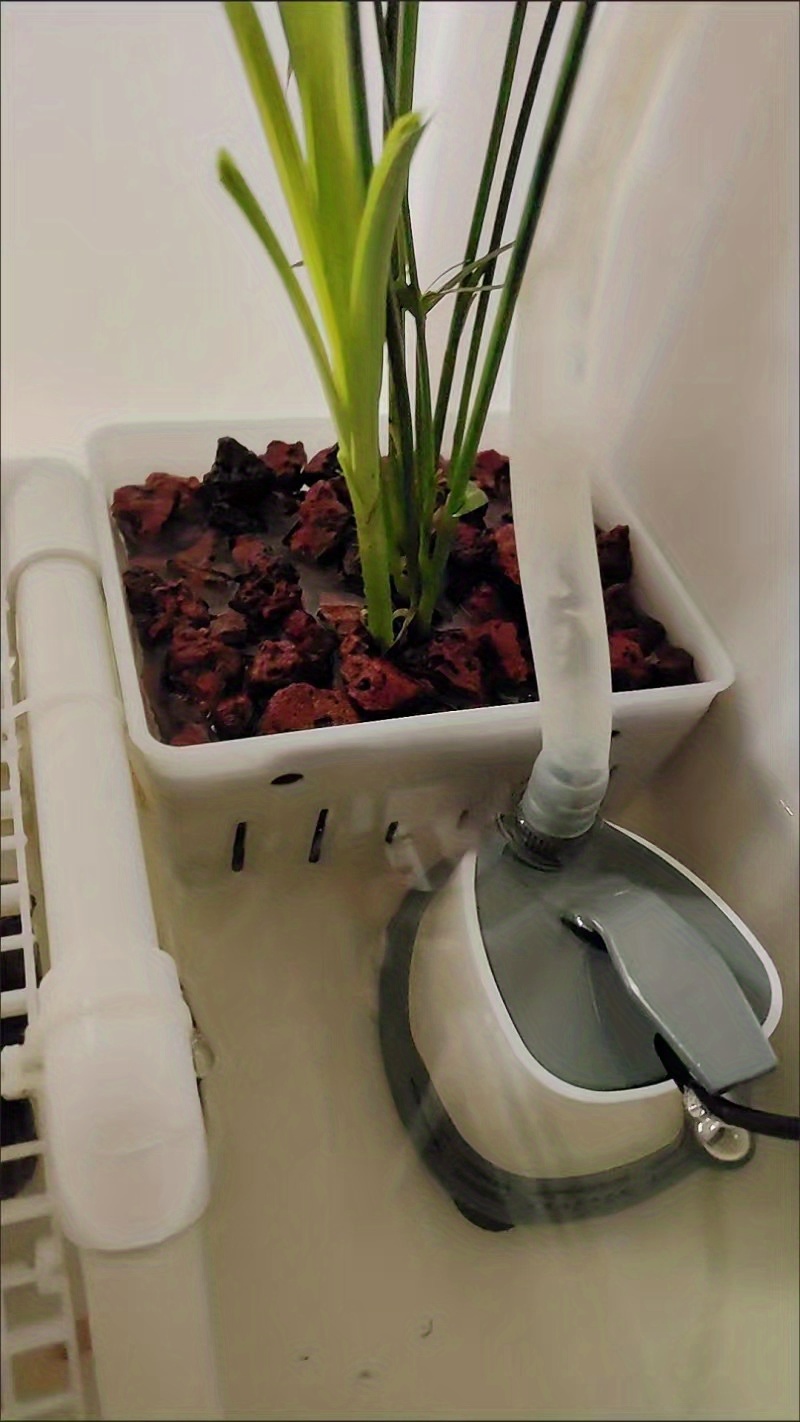 Pe Turtle Breeding Box Separator Turtle Habitat Starter Kit - Temu Ireland