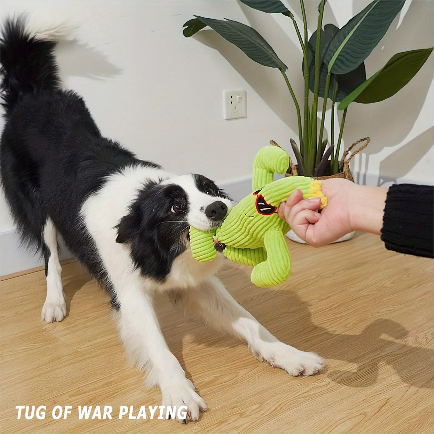 Cactus Design Pet Grinding Teeth Squeaky Plush Toy - Temu Australia