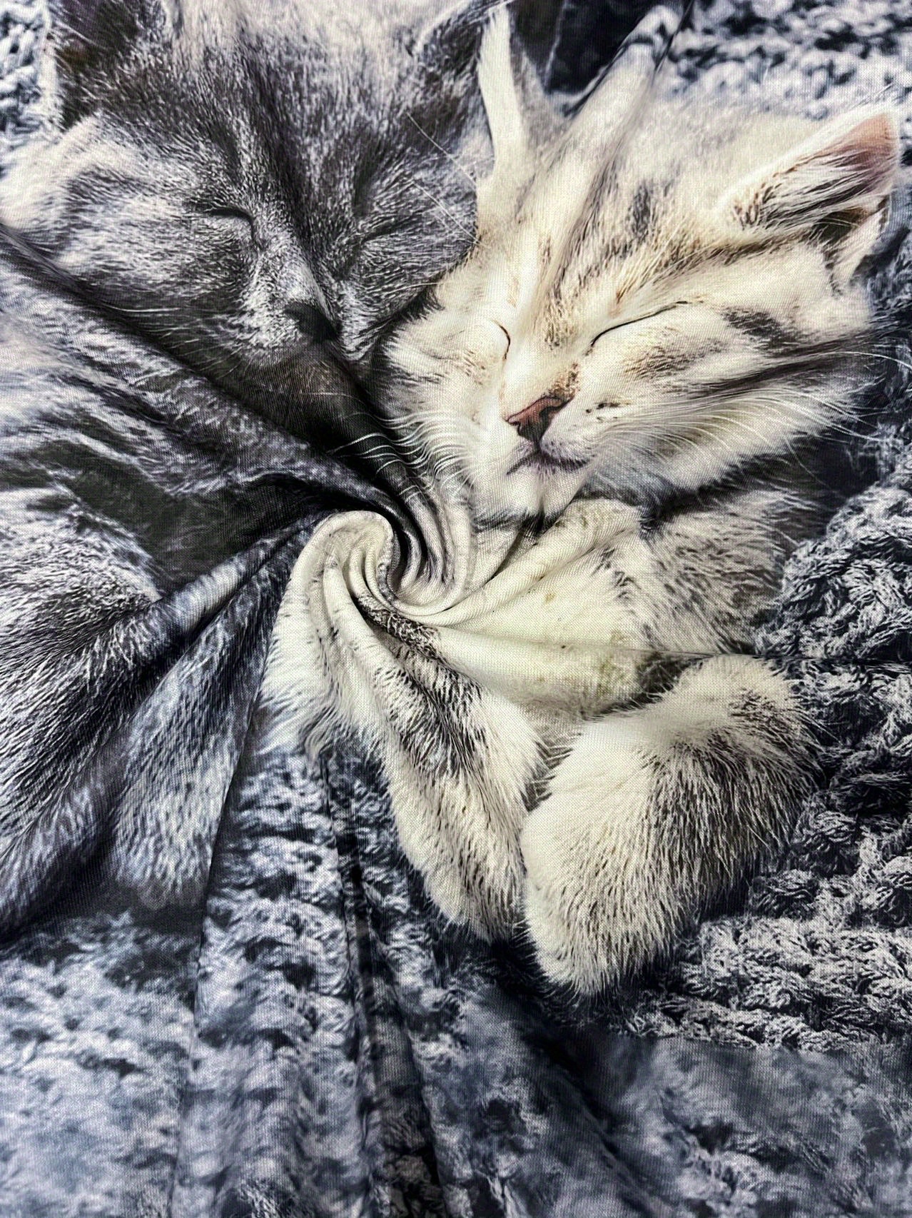 Dual Cats Print Crew Neck T shirt Casual Long Sleeve Top - Temu