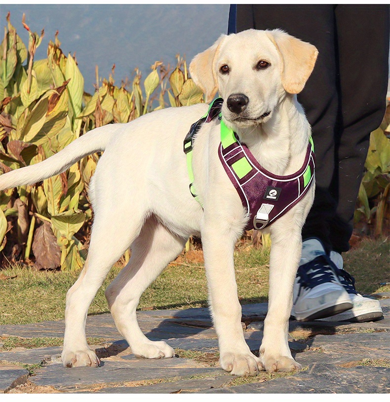 Pet Chest Strap Dog Harness Vest Proof Dog Chest - Temu Ireland