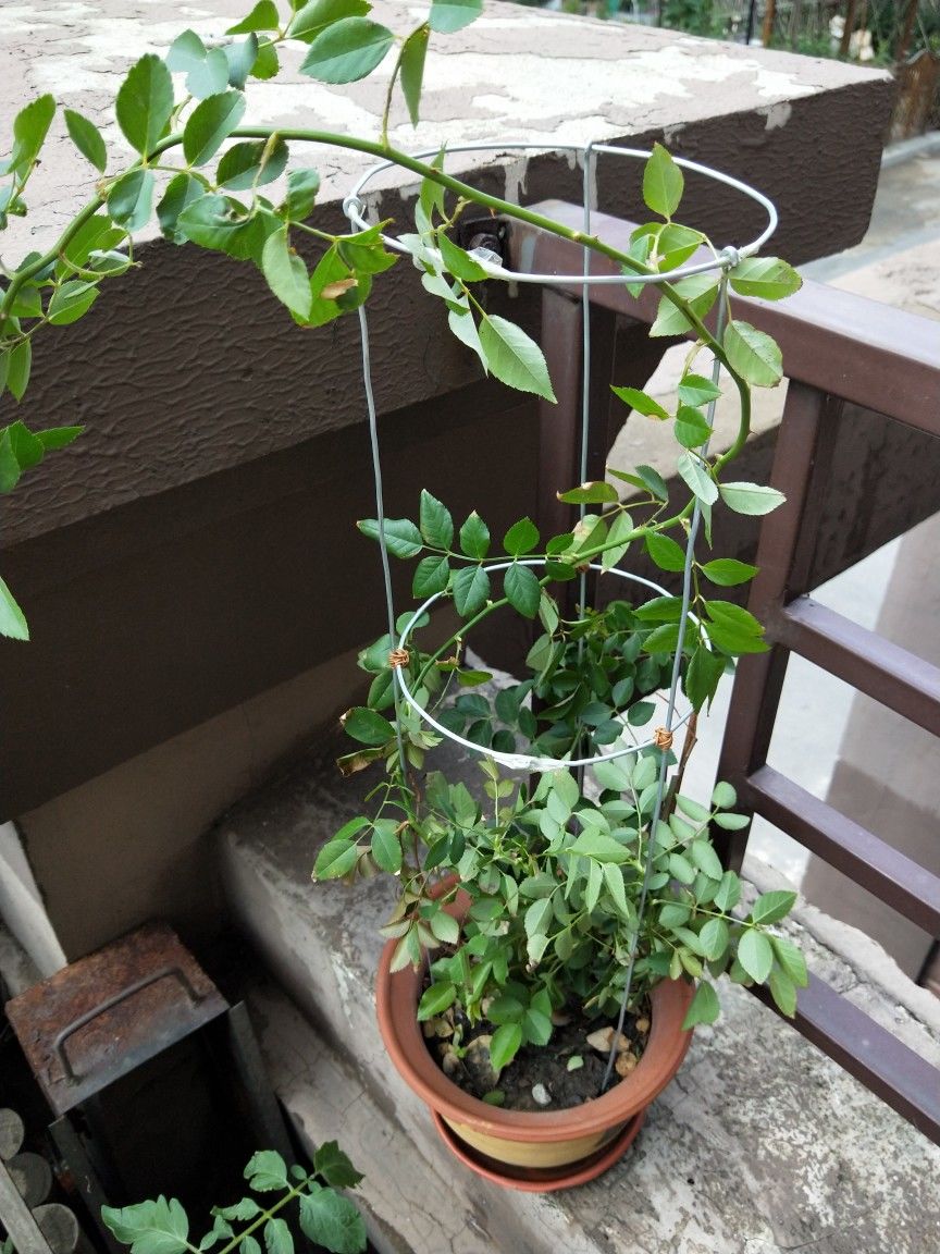 Galvanized Hobby Wire Multi purpose Steel Wire Ideal Crafts - Temu Canada