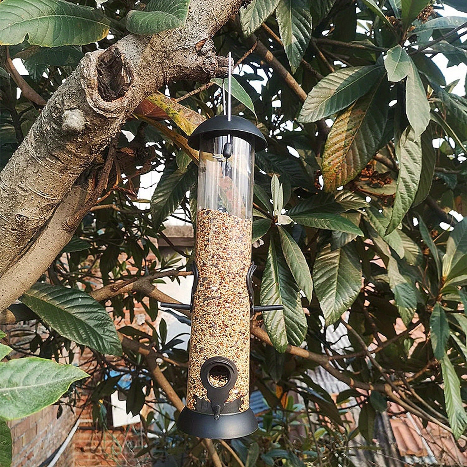 Tube Bird Feeder Mix Seed Blends Plastic Detachable Bird - Temu