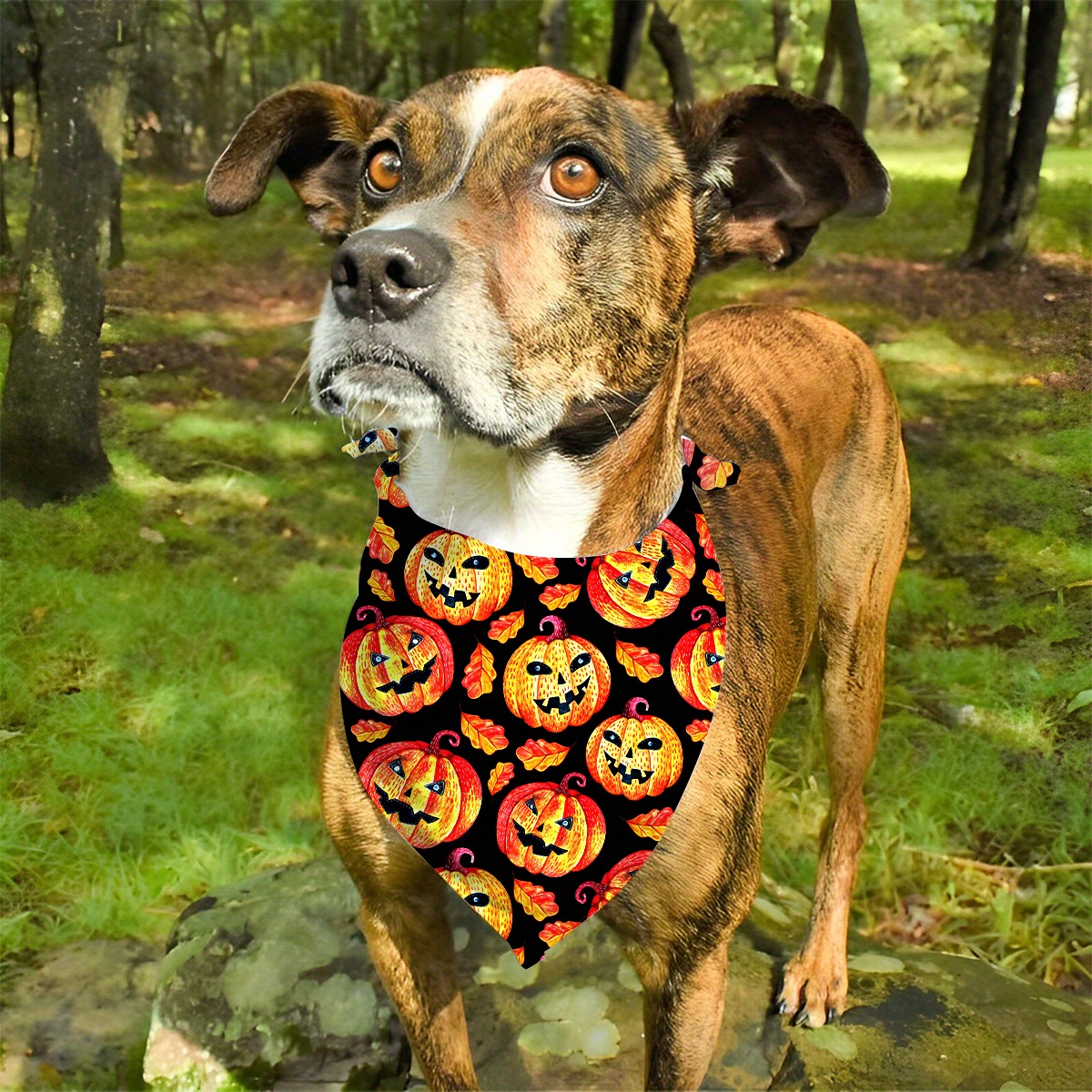 Halloween Pet Saliva Towel Pumpkin Graphic Dog Triangle - Temu Australia