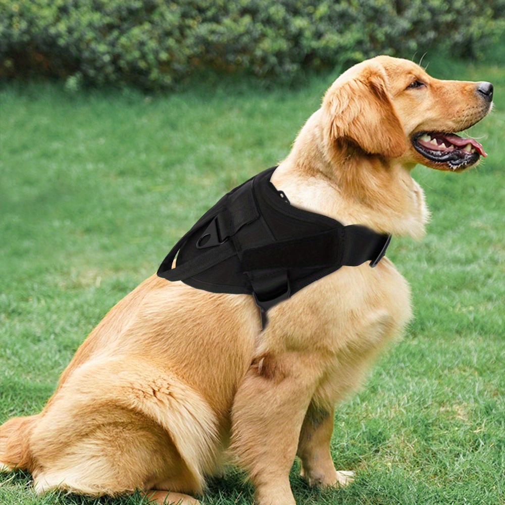 Outdoor Dog Chest Harness Traction Rope Set - Temu Australia