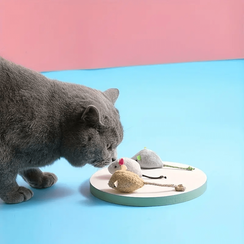 5pcss Mouse Shaped Plush Cat Toys Set Amusing Cat Toys Cat - Temu New ...