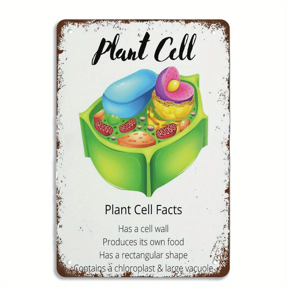 chemistry poster retro poster creative tin logo - Temu Australia