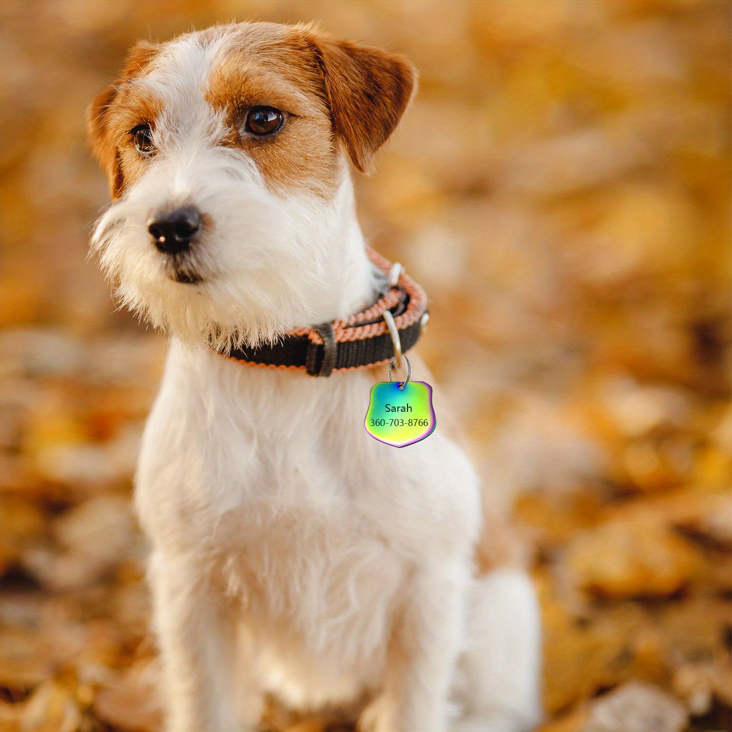 Custom Dog Tag Engraved Dog Name Phone Number Personalized - Temu Australia