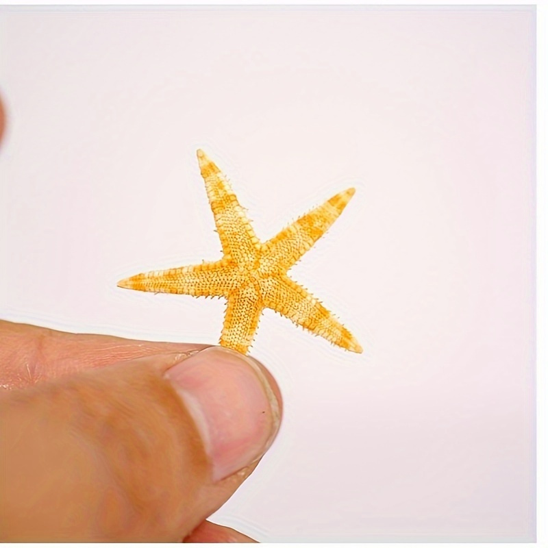 Beach themed Miniature Decor Set Resin Ocean Shells Starfish - Temu Austria