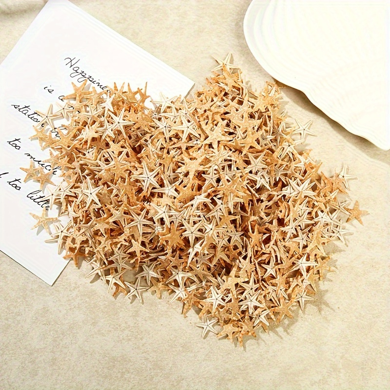 Beach themed Miniature Decor Set Resin Ocean Shells Starfish - Temu Austria