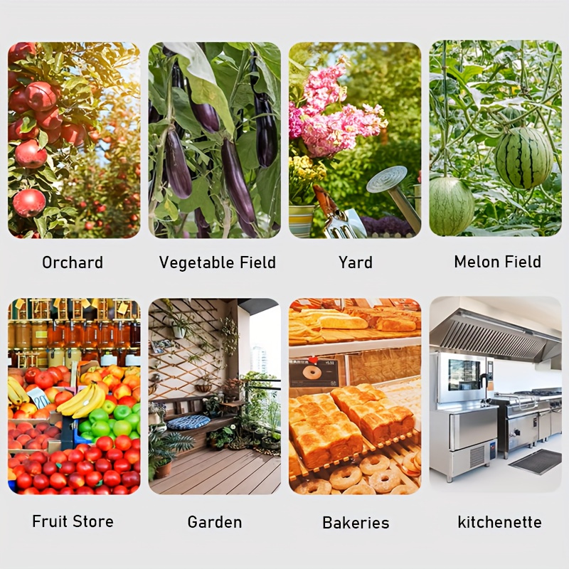 4-pack Sticky Fly Trap Balls - Hanging Fruit & Insect Catcher For ...