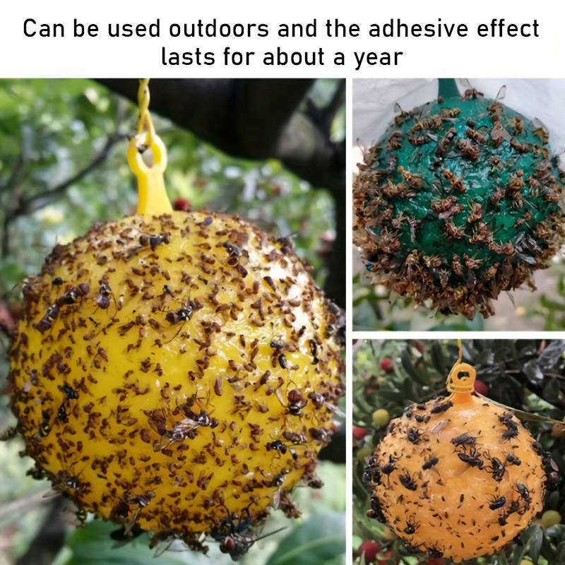 4-pack Sticky Fly Trap Balls - Hanging Fruit & Insect Catcher For ...