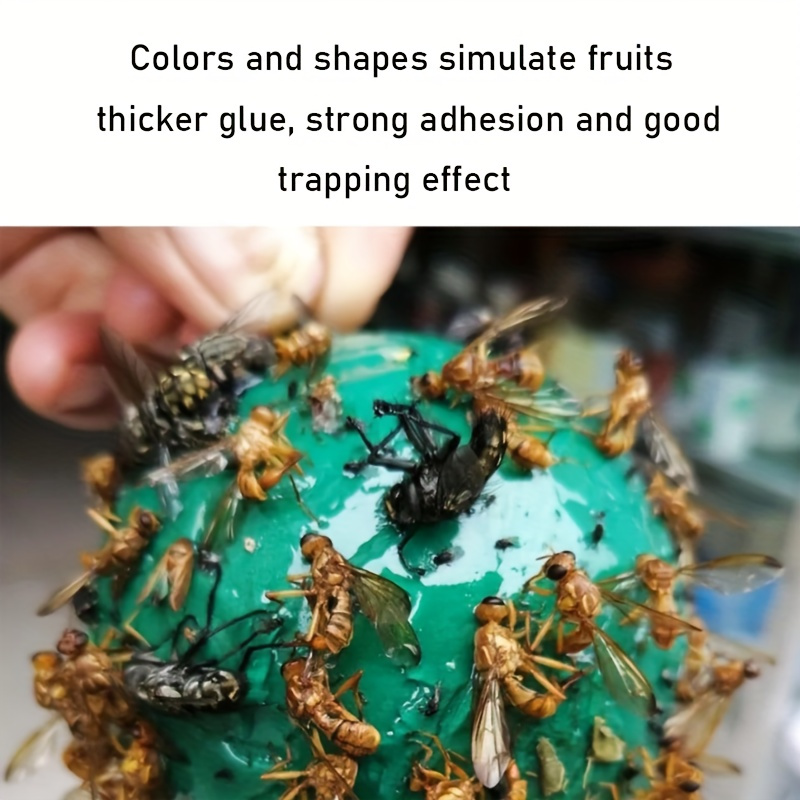 4-pack Sticky Fly Trap Balls - Hanging Fruit & Insect Catcher For ...