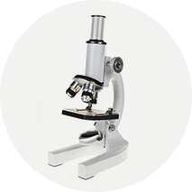 Temu Italy | le categorie - gratuiti entro 90