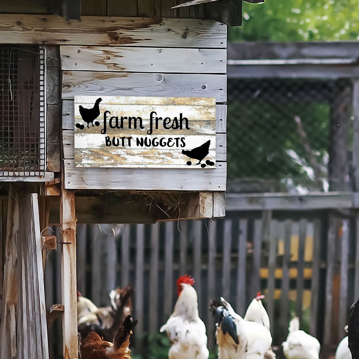 Placa Do Galinheiro Pipocas Frescas Da Quinta Estilo - Temu Brazil