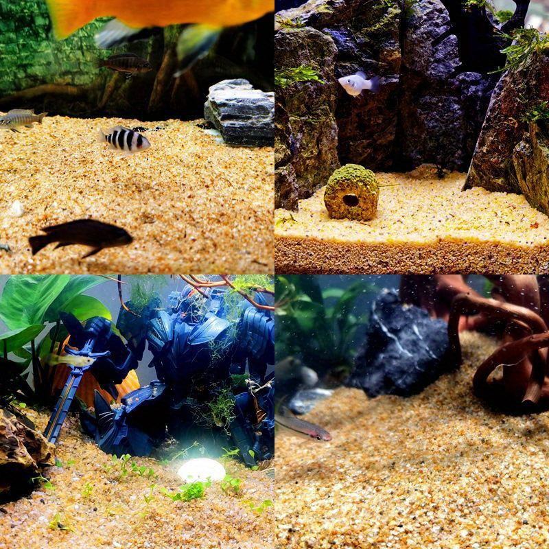 500g 크리스탈 리버 샌드 친환경 수족관 자갈 물고기 탱크용 비독성 장식 돌 Temu에서 배송되는 상품은 무료