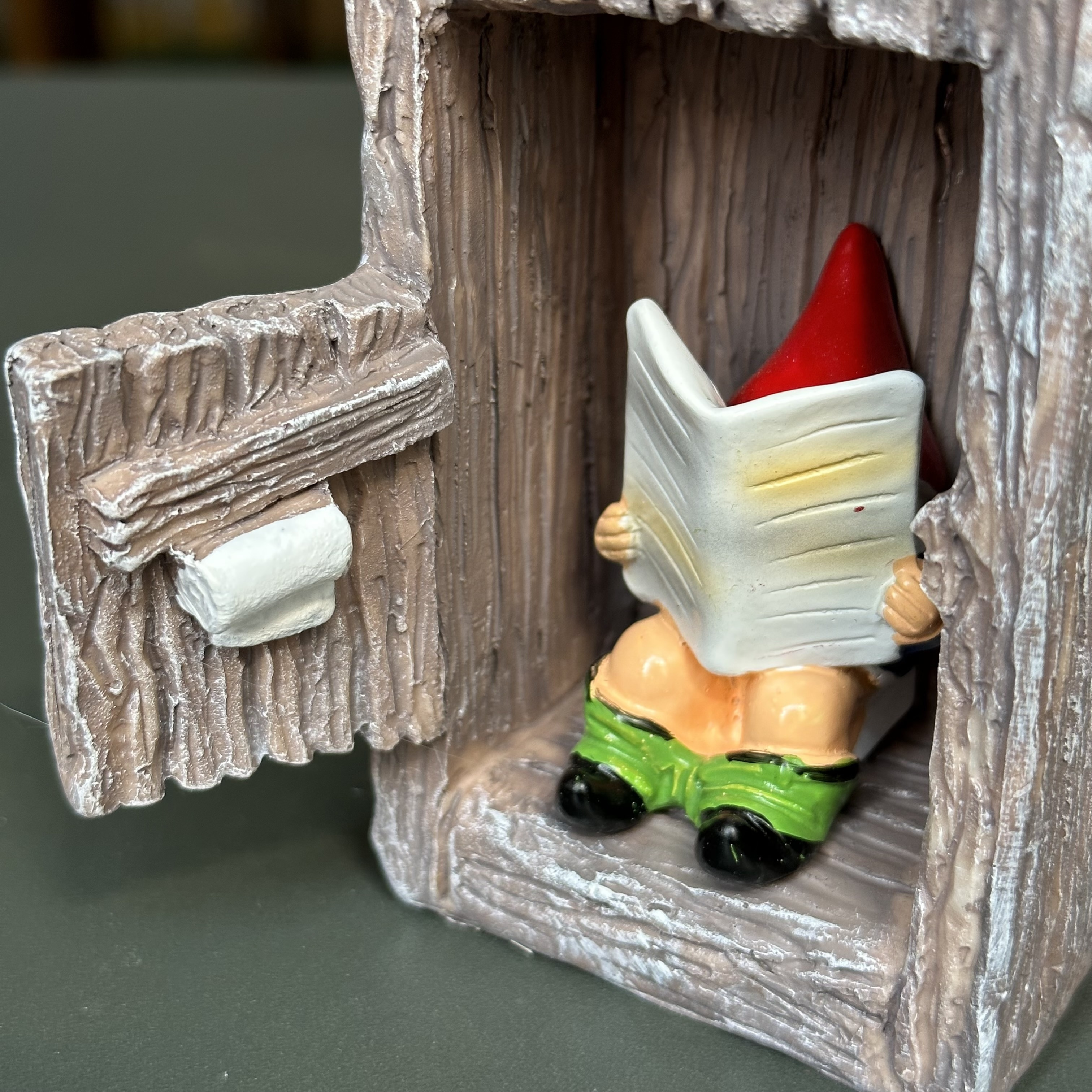 Mischievous Garden Gnome Reading In Resin - Temu Malaysia