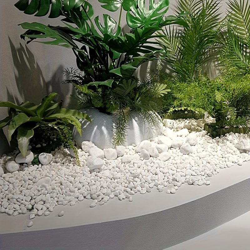 Decorative White Pebbles Garden Aquarium Terrarium Multi - Temu United