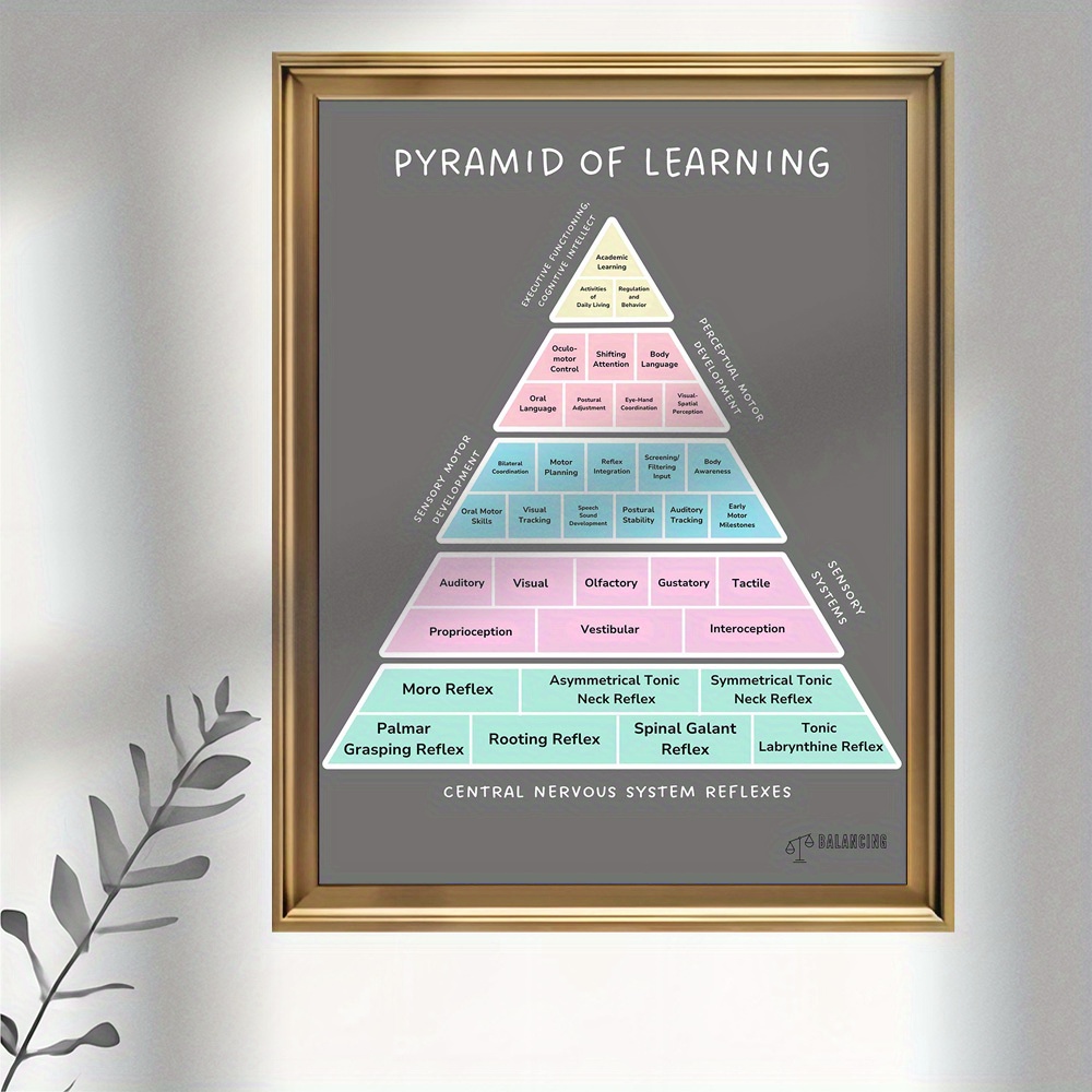 Pyramid Learning Educational Poster Developmental - Temu